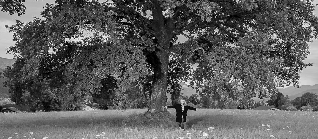 Körper, Geist und Seele – Edith Holler Consulting